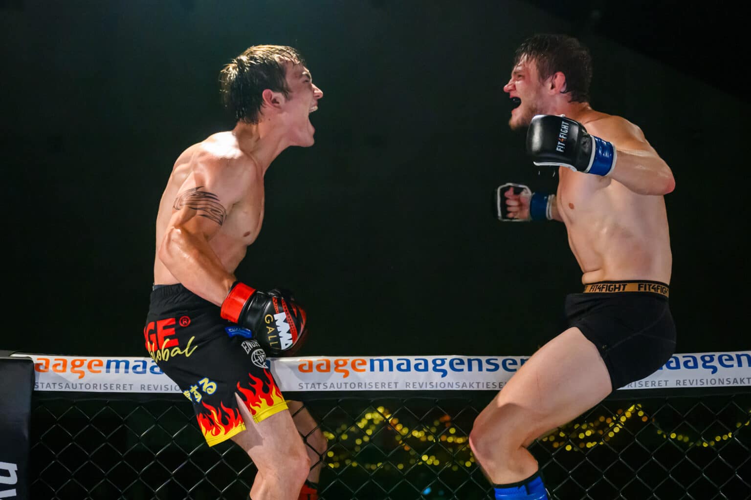 MMA Galla – Denmark's Leading MMA Organization